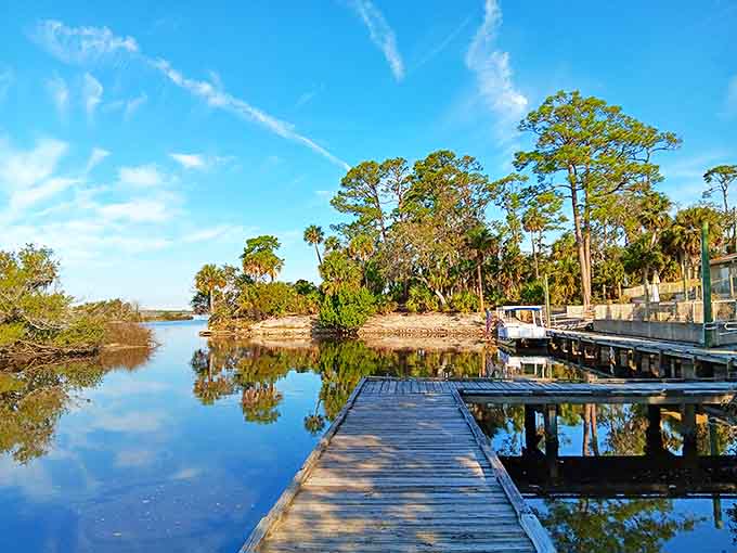Tomoka State Park's tranquil waters reflect Florida's natural beauty, offering paddlers a peaceful escape just minutes from bustling beaches.