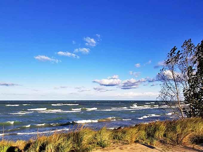 Oval Beach stretches out like nature's welcome mat, inviting visitors to kick off their shoes and forget which day of the week it is.