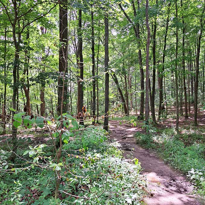 A white arbor marks the garden path, inviting explorers to wander through grounds where lighthouse keepers once tended their plots.
