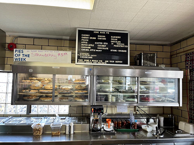 Pie display: Behind glass lies a museum of American dessert excellence – fruit pies, cream pies, and seasonal specialties that have been perfected over decades of baking wisdom.