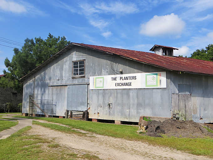 The Planters Exchange building whispers stories of agricultural commerce that once defined this region's economic heartbeat.