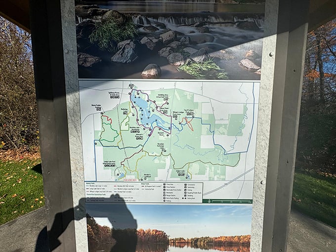 Your guide to wilderness wonders: Trail maps reveal the network of paths where stone faces hide among ancient trees.