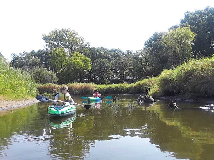 Paddlers navigate the gentle waters of Rice Creek, discovering suburban wilderness from a perspective few take time to experience.