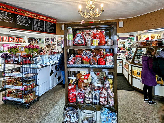 Candy wonderland in full glory &ndash; shelves stocked with treats, a chandelier overhead, and the promise that adulting can still include chocolate for breakfast.
