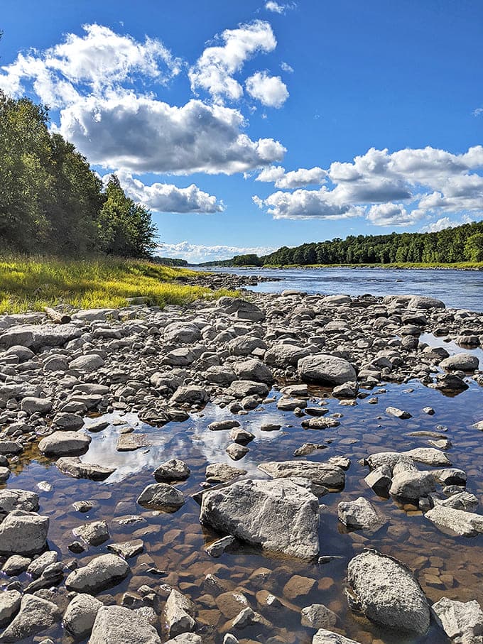 The rocky shoreline of Rainy River creates nature's perfect playground for stone-skipping competitions and quiet contemplation.