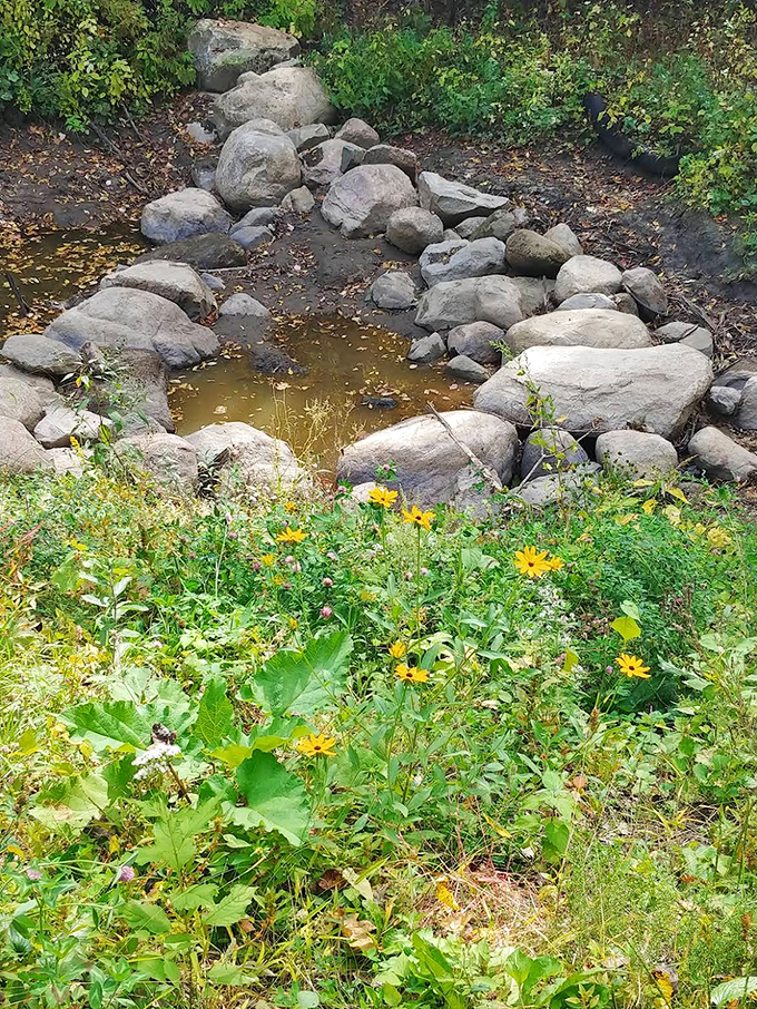 A peaceful stone-lined section of Riley Creek, where conservation efforts have helped stabilize banks and improve water quality.