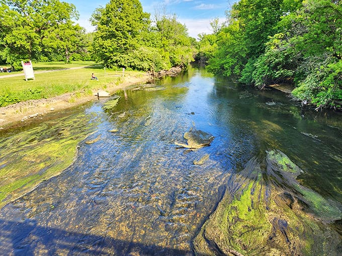 Salt Creek meanders through the preserve, offering peaceful water views and reminding visitors that not all adventures require leaving the ground.