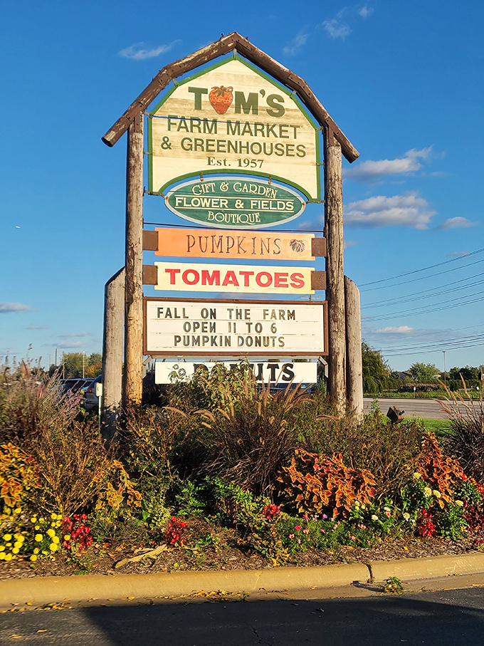 Tom's vintage-style sign stands as a roadside landmark, announcing seasonal delights like "Pumpkin Donuts" with the excitement of a town crier who really loves pastries.