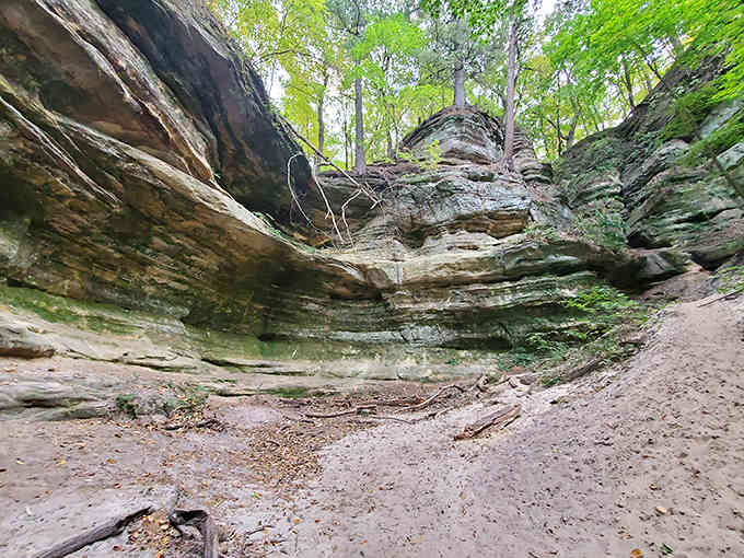 Looking up from the canyon floor reveals layers of geological history, each stratum telling stories older than human civilization.