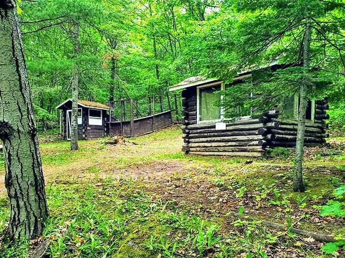 Simple log structures housed tools and supplies, their weathered timbers telling stories of frontier ingenuity and resourcefulness.