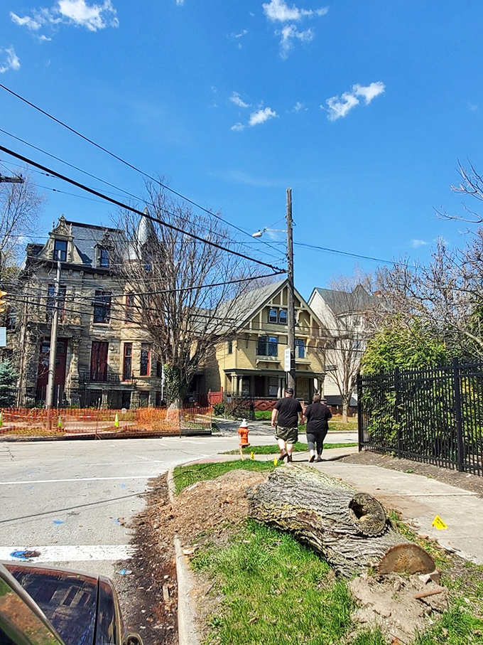 The castle sits among its neighbors like a stone giant at a garden party, politely pretending it's not the most interesting thing on the block.