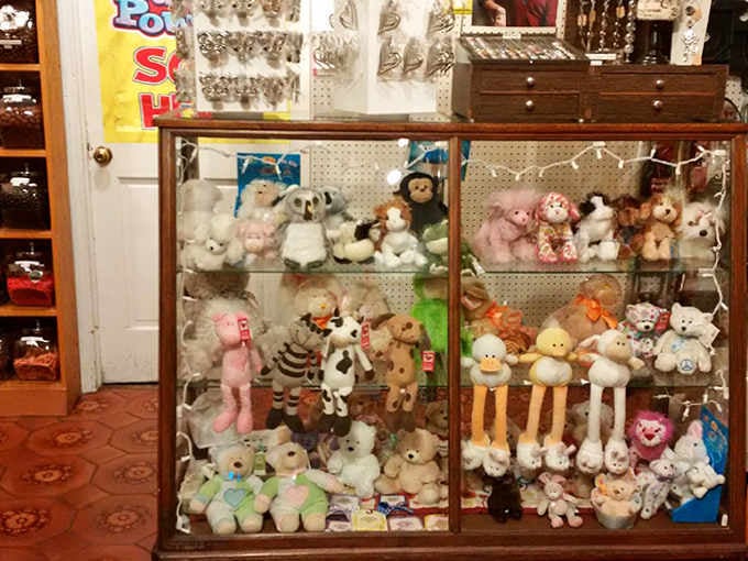 A display case of stuffed animals adds whimsy to the shop, because apparently candy alone wasn't cute enough for these overachievers.