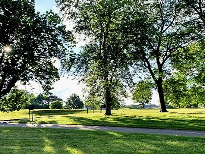 This sun-dappled lawn under mature trees creates the kind of picnic spot that makes you wish you'd brought a blanket and some really good sandwiches.