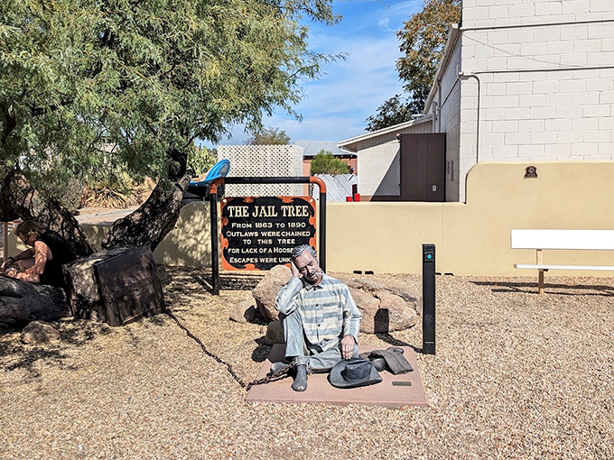 The historic "Jail Tree" where, according to local lore, lawbreakers were once chained when the town jail was full.