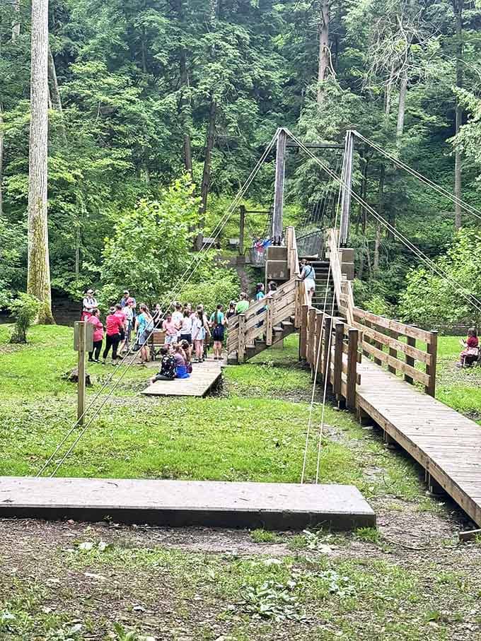 Adventure brings people together at this rustic bridge crossing &ndash; shared experiences creating memories that outlast sore muscles.