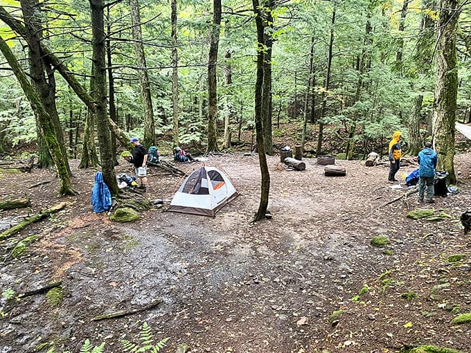 Camping at Trap Falls &ndash; where your five-star accommodations include a ceiling of stars and wake-up calls from overly enthusiastic birds.