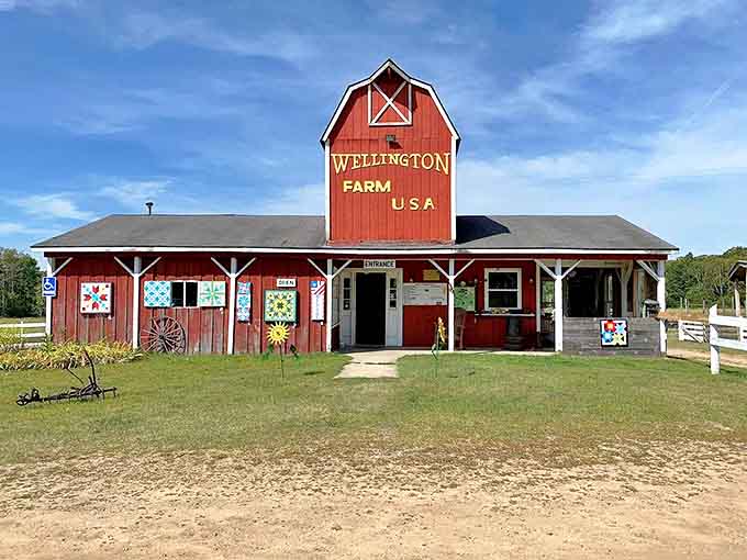 Wellington Farm USA transports visitors to Depression-era rural America, where history comes alive through authentic experiences.