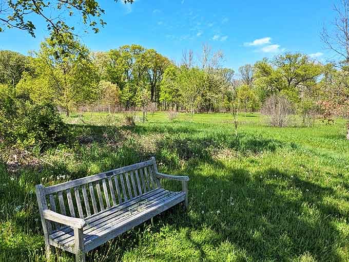 A weathered bench offers contemplative souls a front-row seat to nature's ever-changing show, no ticket required except the time to pause.