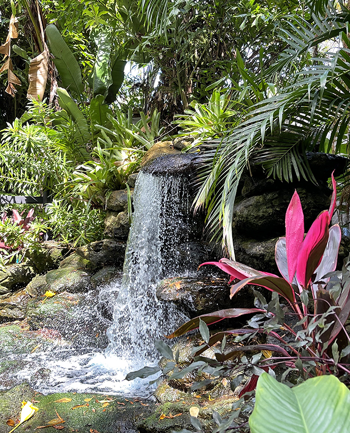 Beautiful Waterfall: Water cascades over moss-covered stones, creating nature's perfect soundtrack &ndash; the kind people pay good money to hear on sleep apps.