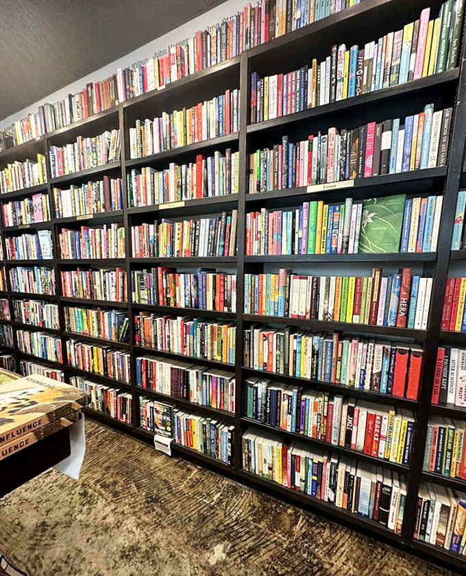 Floor-to-ceiling shelves create a bibliophile's dream landscape, where alphabetical order brings unlikely neighbors together in a democracy of ideas and stories.