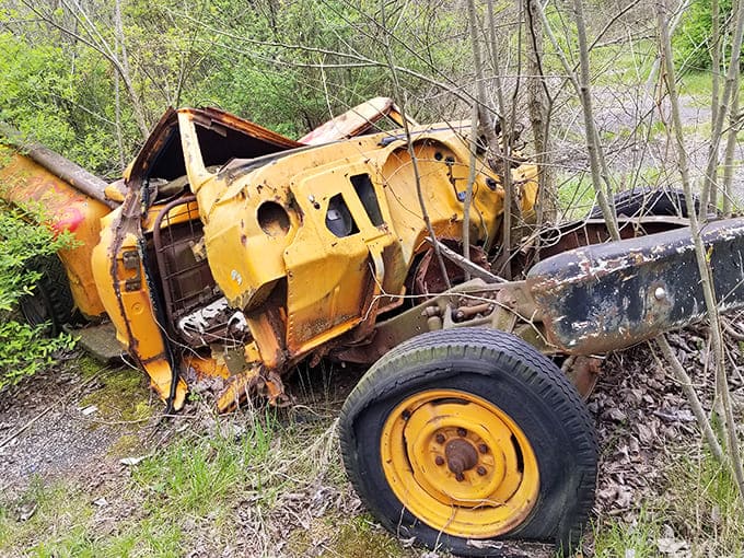 This construction vehicle won't be moving earth anymore&mdash;instead, it's becoming earth itself as plants colonize its rusted yellow shell.