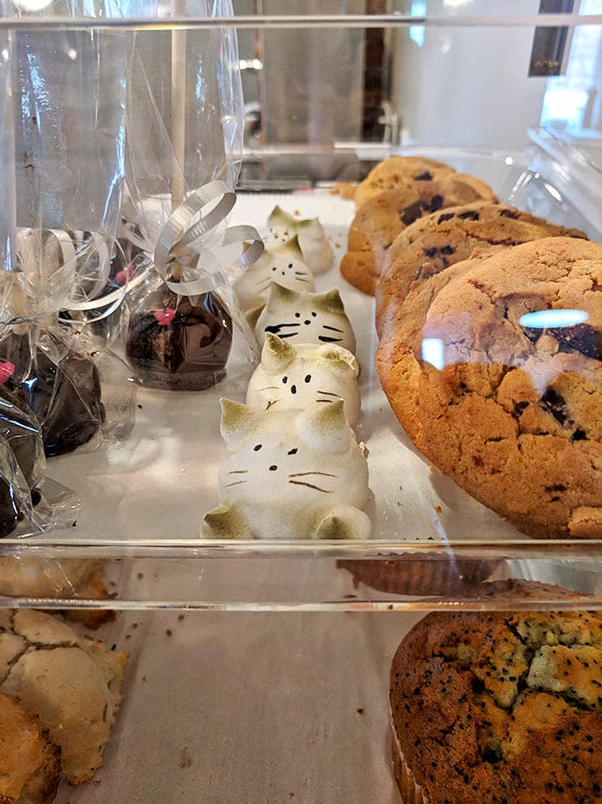 Behind glass, these cookies and adorable cat-shaped meringues aren't just desserts &ndash; they're edible works of art waiting to be appreciated.
