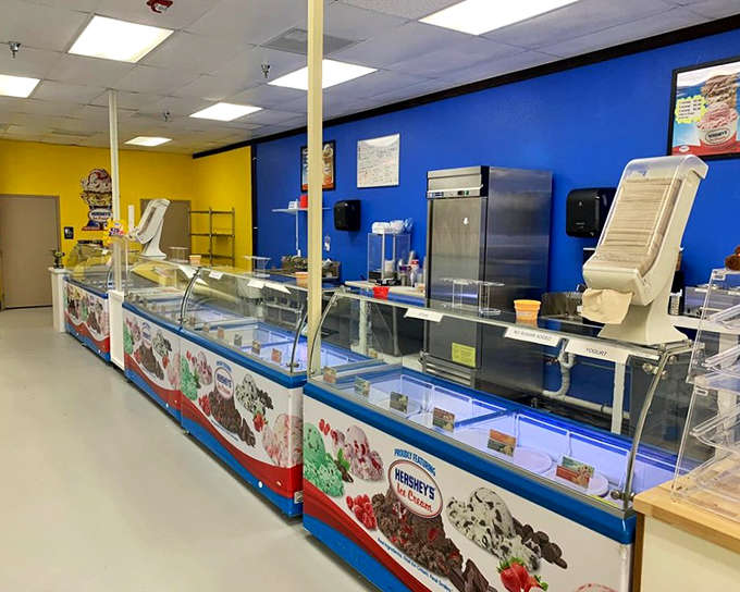 Behind this counter, magic happens daily as scoops transform into smiles, with display cases holding frozen treasures and equipment ready for milkshake emergencies.