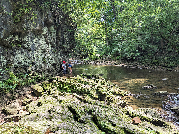 Intrepid explorers wade into adventure, discovering that sometimes the best paths forward involve getting your feet a little wet.