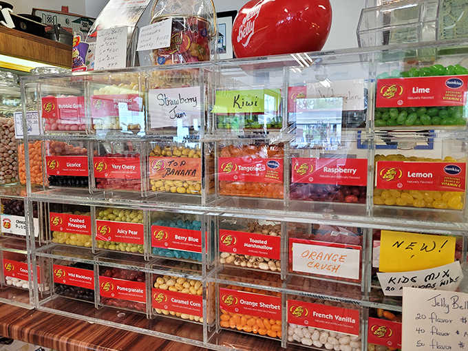 The Jelly Belly display case offers a rainbow of flavor possibilities &ndash; tiny beans with mighty tastes, organized with the precision of a candy cartographer.