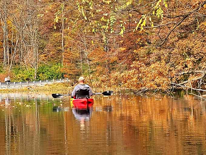 Solo kayaking &ndash; where every paddle stroke takes you further from deadlines and closer to that elusive thing called peace.