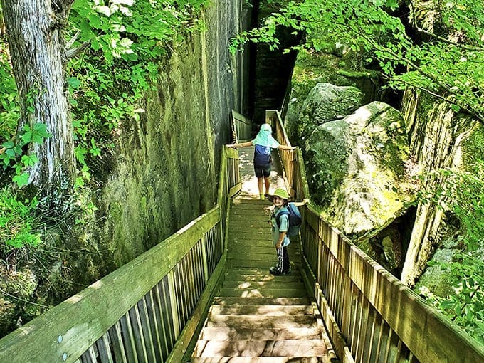 Young adventurers discover the joy of natural water slides on the lower falls, creating childhood memories that will outlast any theme park visit.