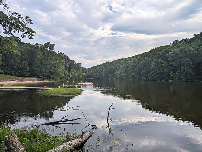 Mirror-like waters reflect the surrounding forest, doubling the beauty and creating a moment of perfect symmetry in nature.