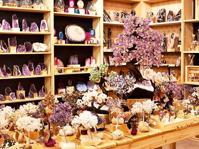 A treasure hunter's paradise where every shelf holds geological wonders that began forming long before humans walked the earth.