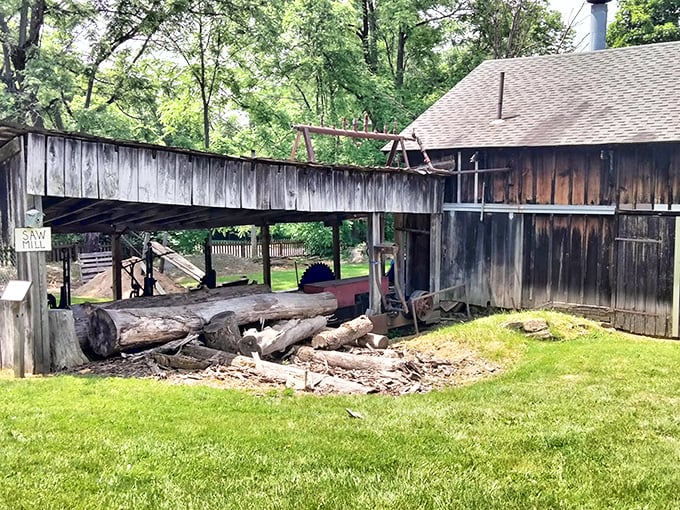 The working sawmill demonstrates the muscle and ingenuity that built America, with rough-hewn logs awaiting transformation.