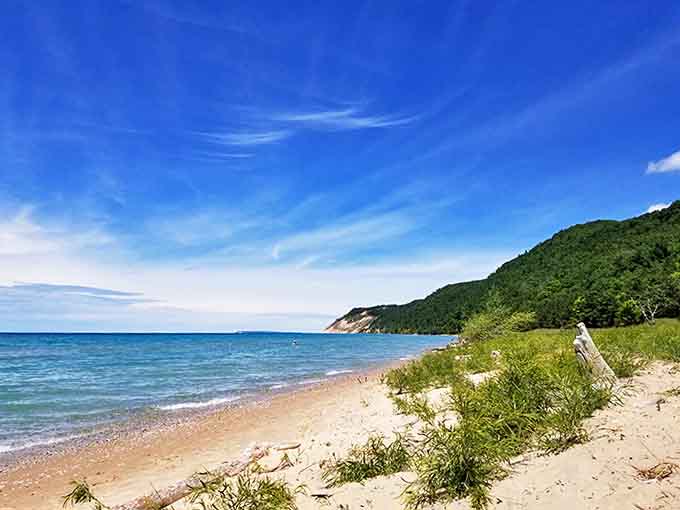 The breathtaking view showcases Michigan's coastal beauty, where forest-covered bluffs meet the endless blue horizon of Lake Michigan.