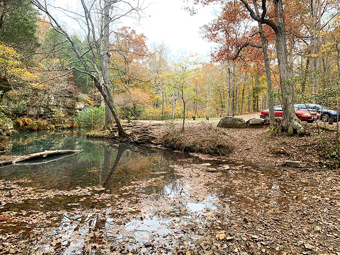 The spring-fed creek maintains its ethereal blue-green hue year-round, a refreshing sight that beckons overheated hikers in summer months.