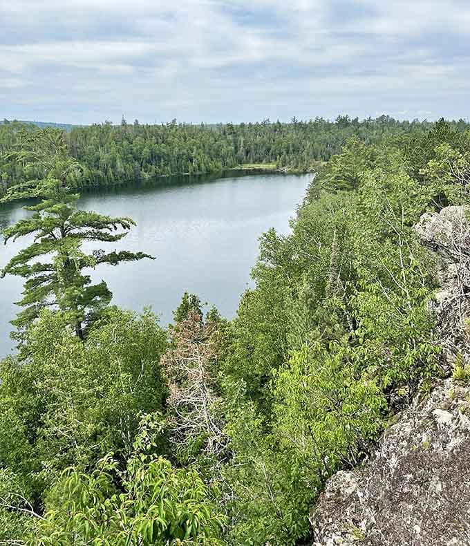 Nature's embrace: the trail momentarily disappears into lush vegetation, promising adventures worthy of a children's storybook.