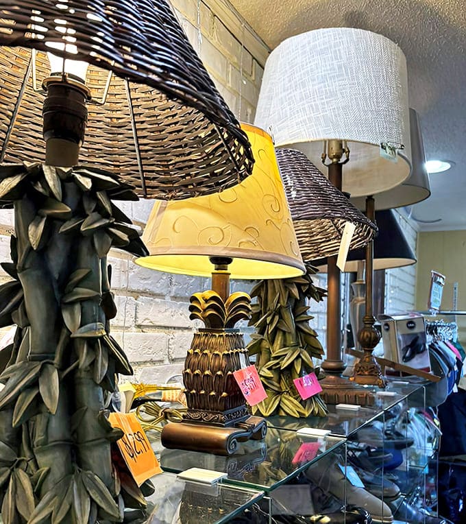 Lighting that tells a story! These character-filled lamps range from kitschy pineapple bases to sophisticated neutrals for every d&eacute;cor style.