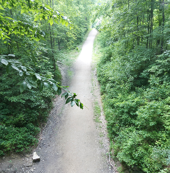 The Moonville Rail Trail stretches into the distance, a peaceful path through Ohio's second-largest state forest.