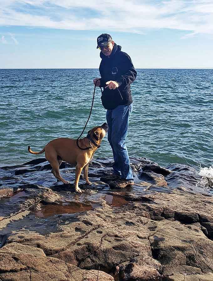 Dog walkers find joy along the shore, where four-legged companions can sniff interesting scents while humans search for geological treasures.