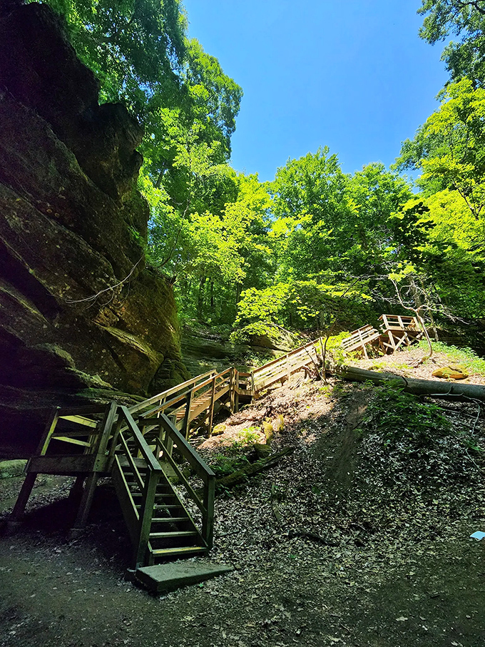 These wooden stairs invite exploration, promising that whatever effort you expend climbing them will be rewarded tenfold with natural beauty.