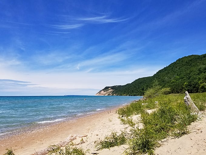 Esch Road Beach offers a more wild, natural experience where forest meets shoreline along Michigan's stunning coast.