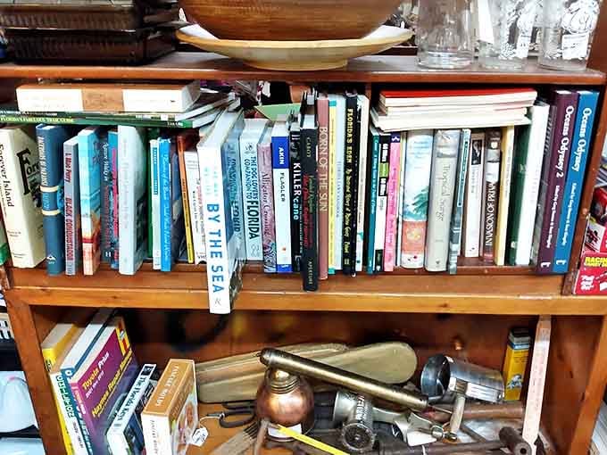 Spines of varying thickness tell stories both within their pages and through their well-worn covers—literary archaeology at its finest.