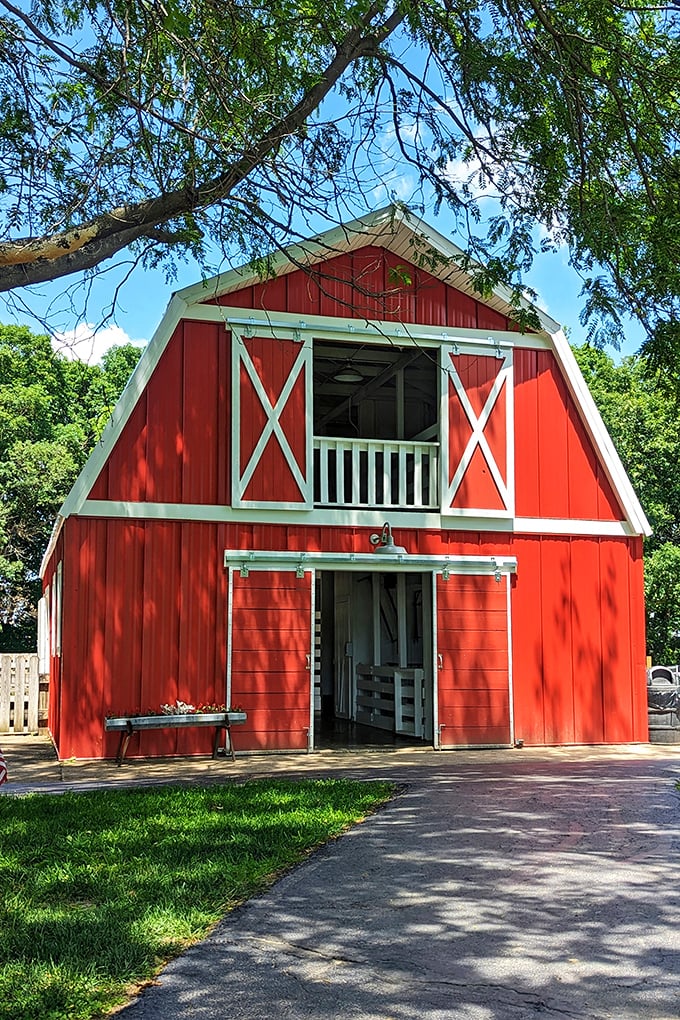 This classic red barn isn't just for show &ndash; it houses educational exhibits and occasionally some very opinionated chickens.