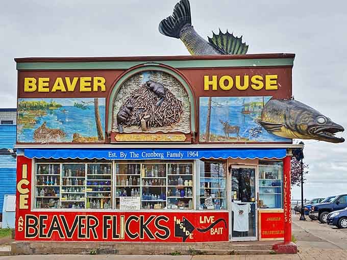 The Beaver House stands as Grand Marais's most eye-catching shop, where giant fish sculptures announce fishing expertise that's been hooking customers since 1964.