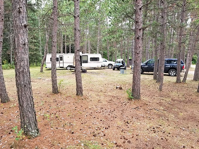 Bemis Hill Campground: Nature's five-star accommodation, complete with pine-scented air and starlit skies.
