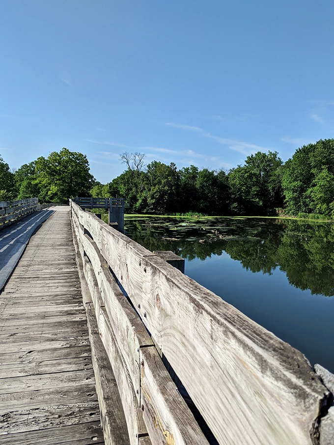 The wooden boardwalk offers passage over lily-padded waters, inviting visitors to venture further into this preserved slice of Illinois.