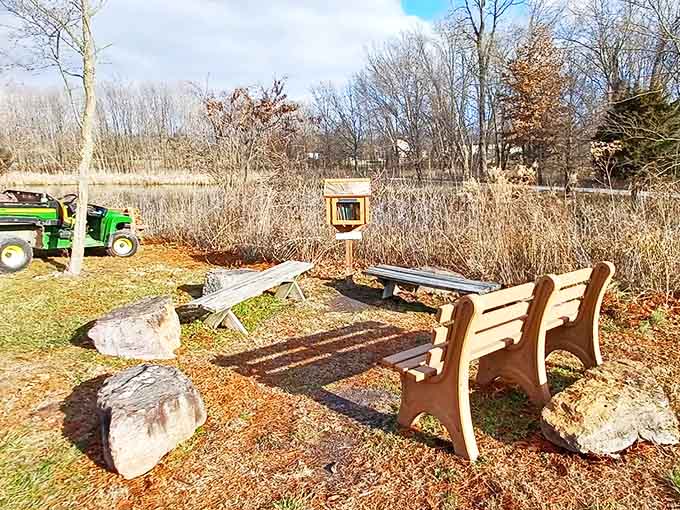 The little free library offers literary companions for your journey &ndash; field guides, nature poetry, and environmental essays to enhance your visit.