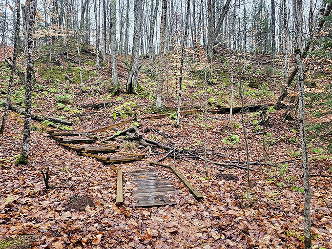These weathered steps tell stories of countless hikers before you &ndash; each footfall adding to the trail's ongoing history.