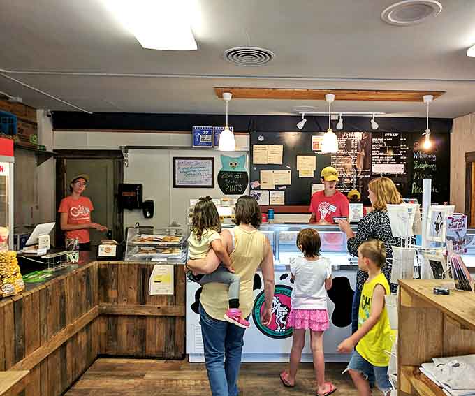 The bustling counter where dreams come true in the form of perfectly scooped ice cream and freshly popped gourmet kernels.